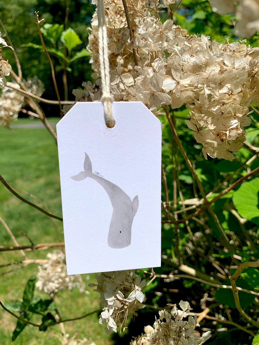 Nautical Gift Tags - Whale – The Dotted i